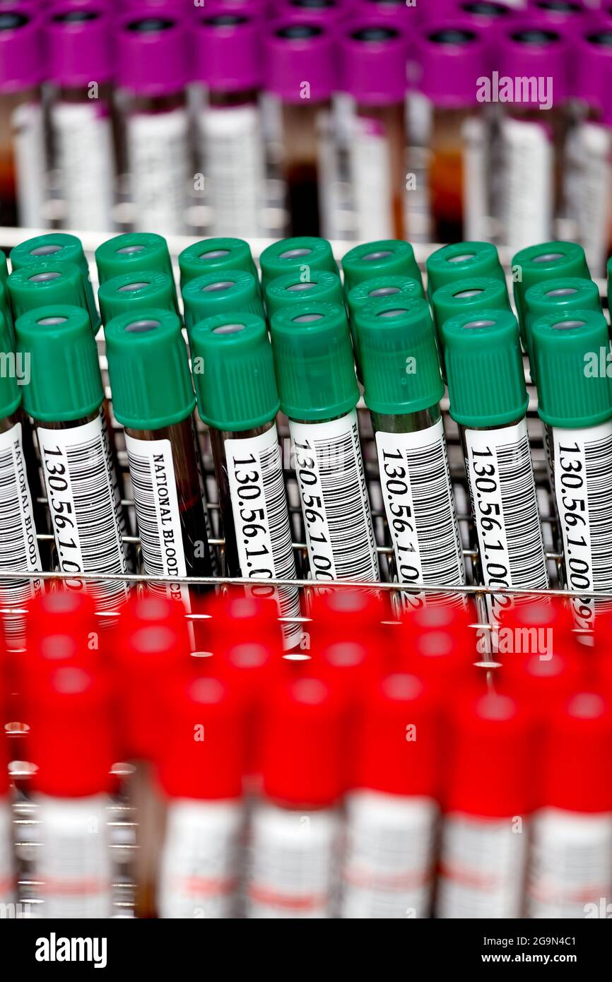 Blood tube for testing in lab¹ratory Stock Photo - Alamy