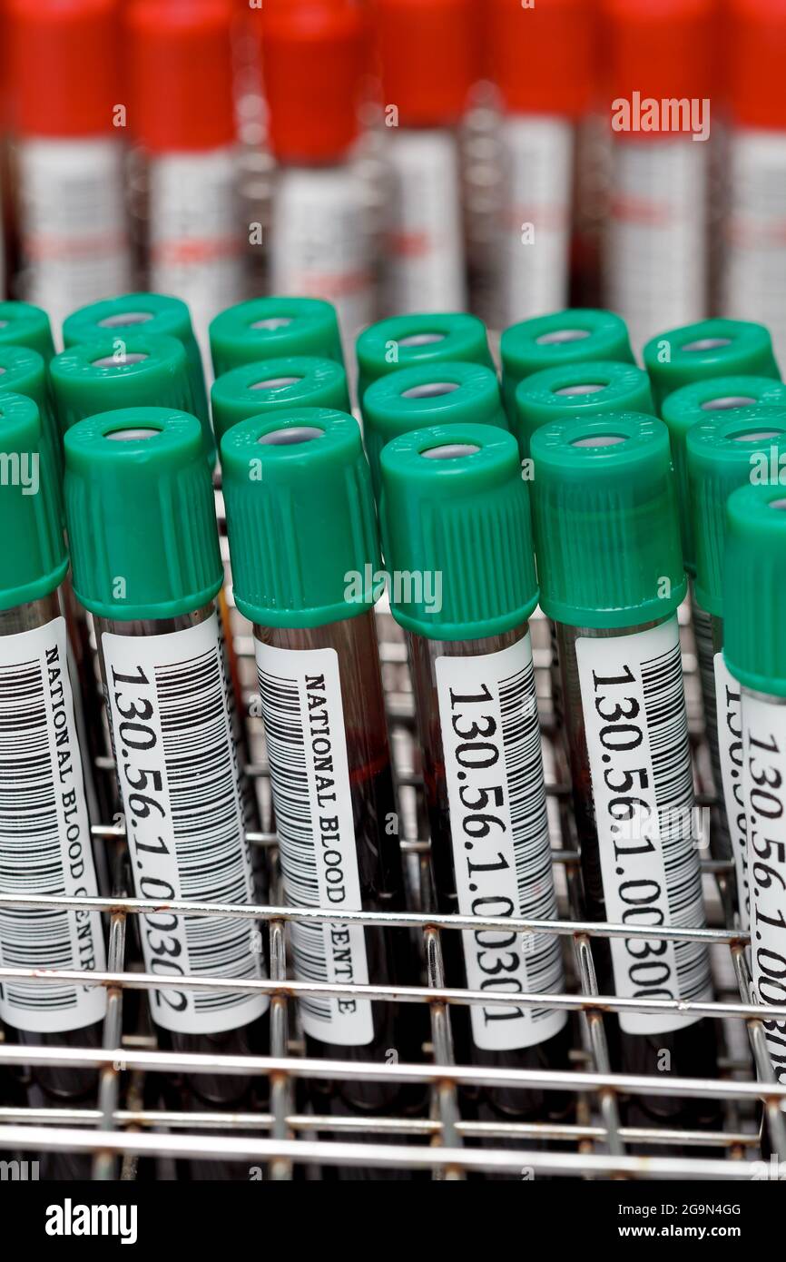 Blood tube for testing in lab¹ratory Stock Photo - Alamy