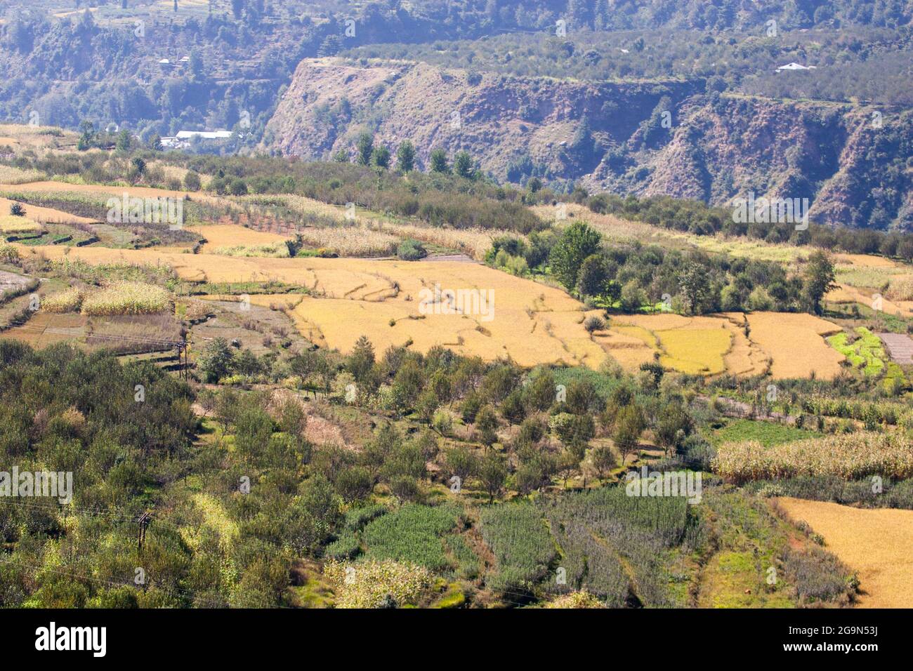 Manali Village, Kullu Valley Himachal Pradesh, India Stock Photo - Alamy