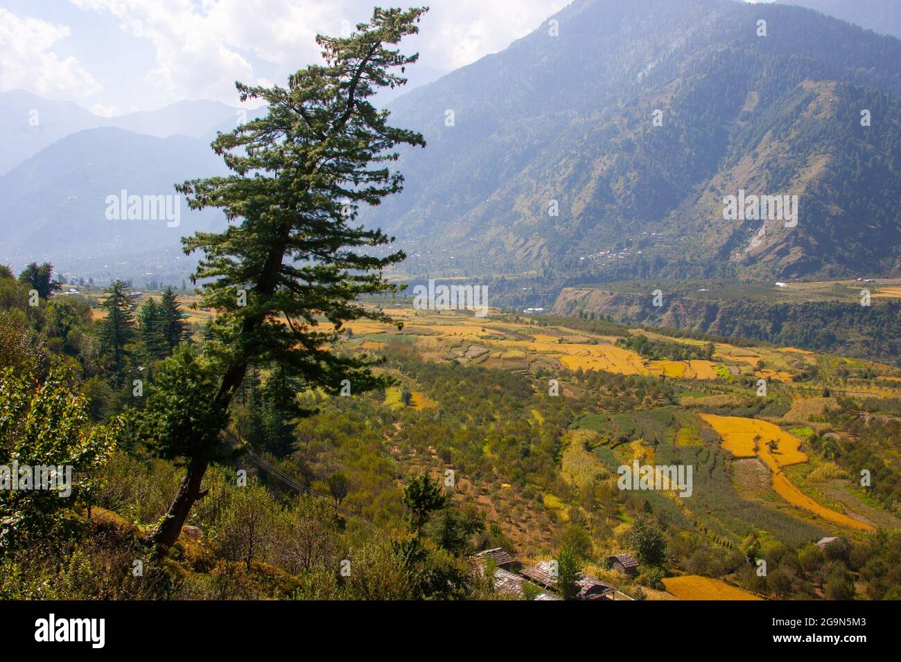 Kullu Valley Himachal Pradesh, India Stock Photo - Alamy