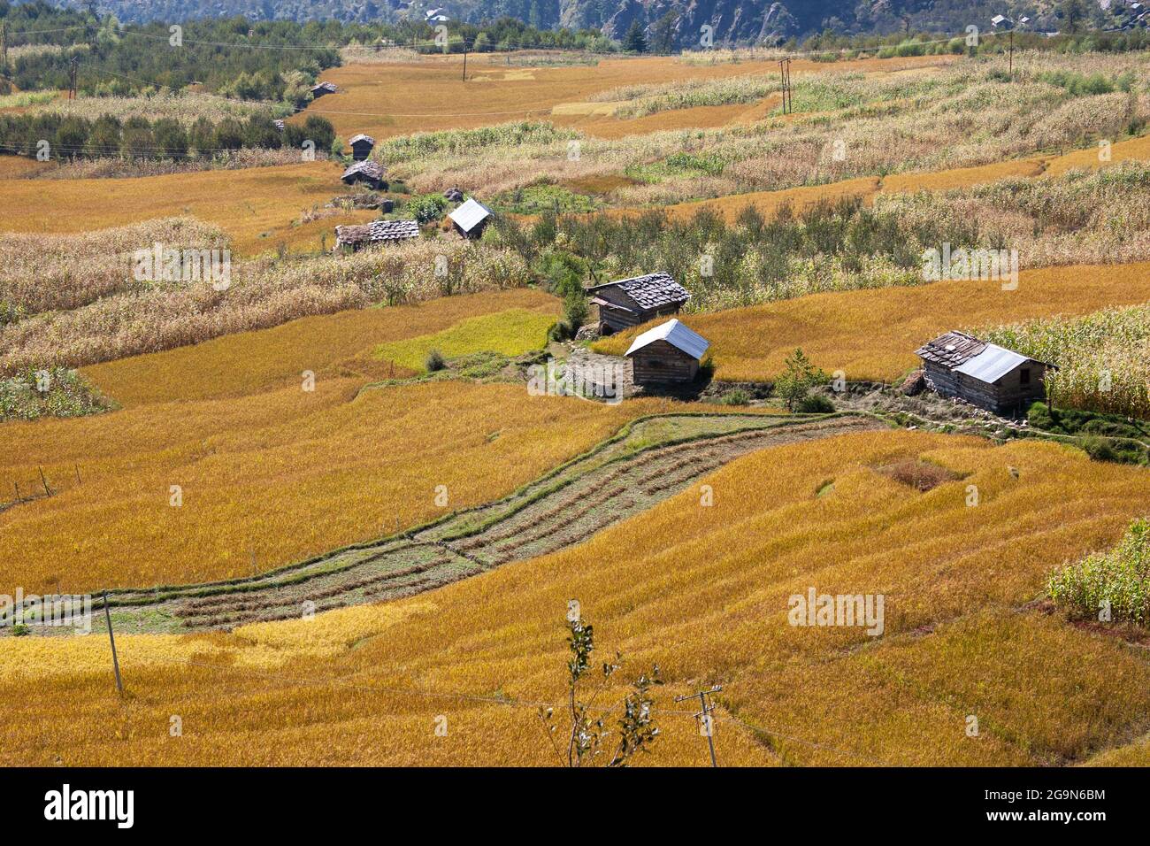 Manali Village, Kullu Valley Himachal Pradesh, India Stock Photo - Alamy
