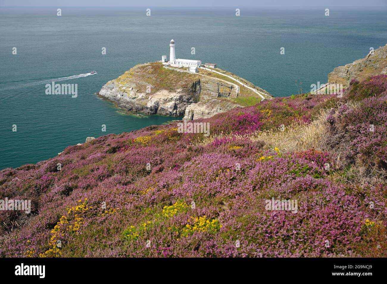 South Stack Lighthouse, Anglesey Stock Photo - Alamy