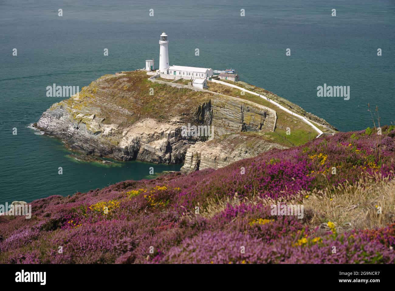 South Stack Lighthouse, Anglesey Stock Photo - Alamy