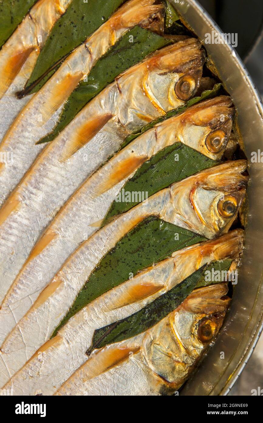 Missoltini hi-res stock photography and images - Alamy