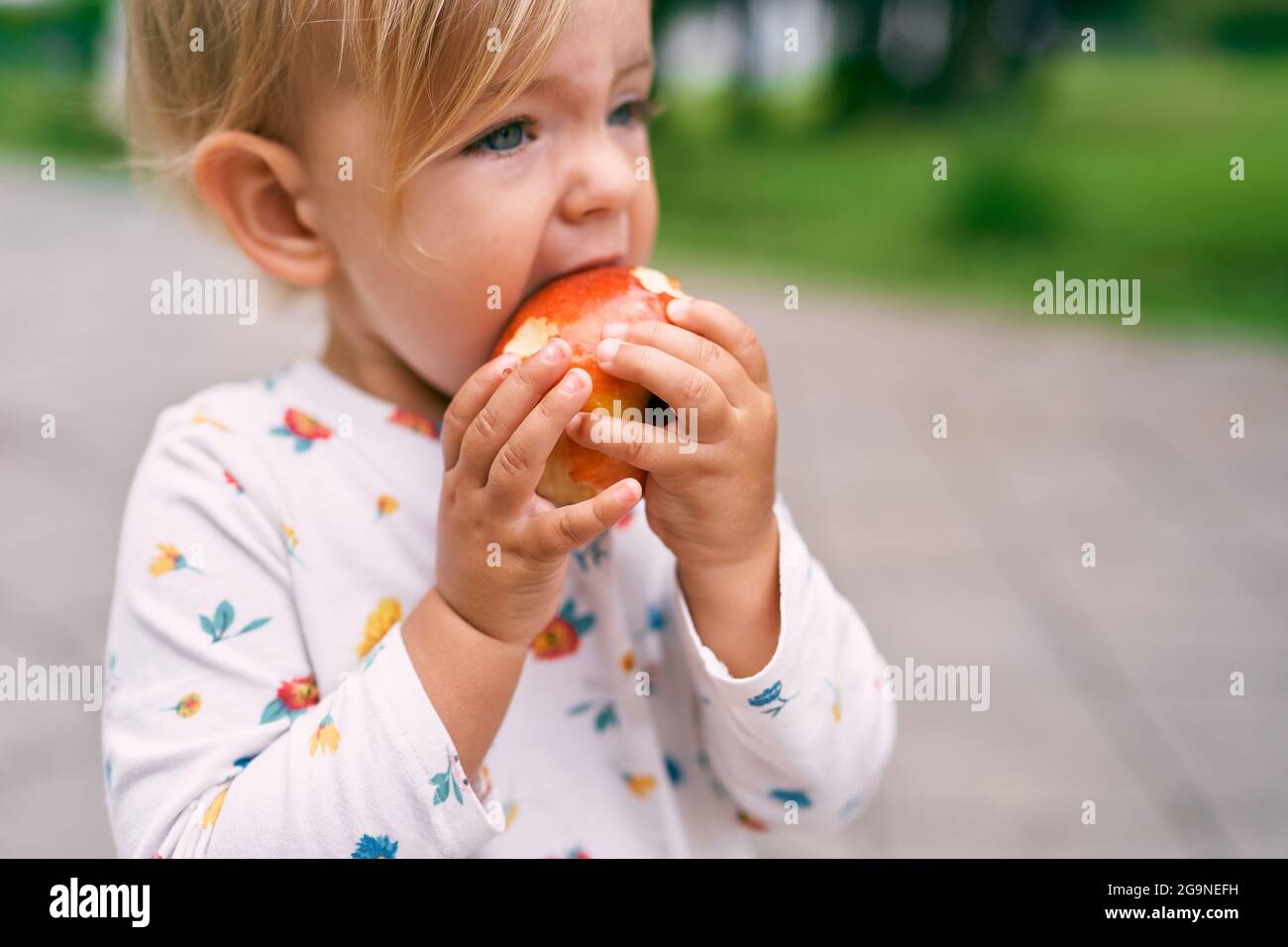 Little baby is eating a red apple. Close-up Stock Photo - Alamy