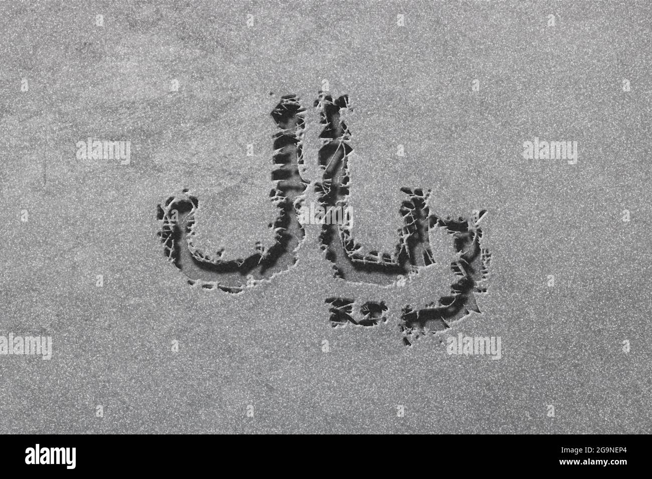 Iranian Rial, IRR Rial currency, Monetary currency symbol, rugged ...