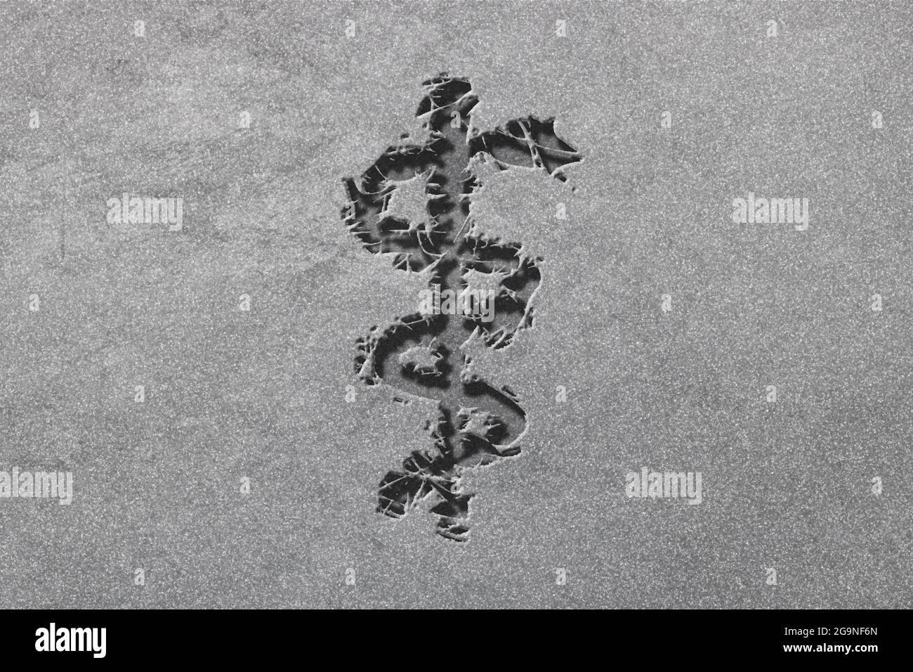 Medical symbol, Rod of Asclepius, Asclepius Insignia, rugged, silver ...