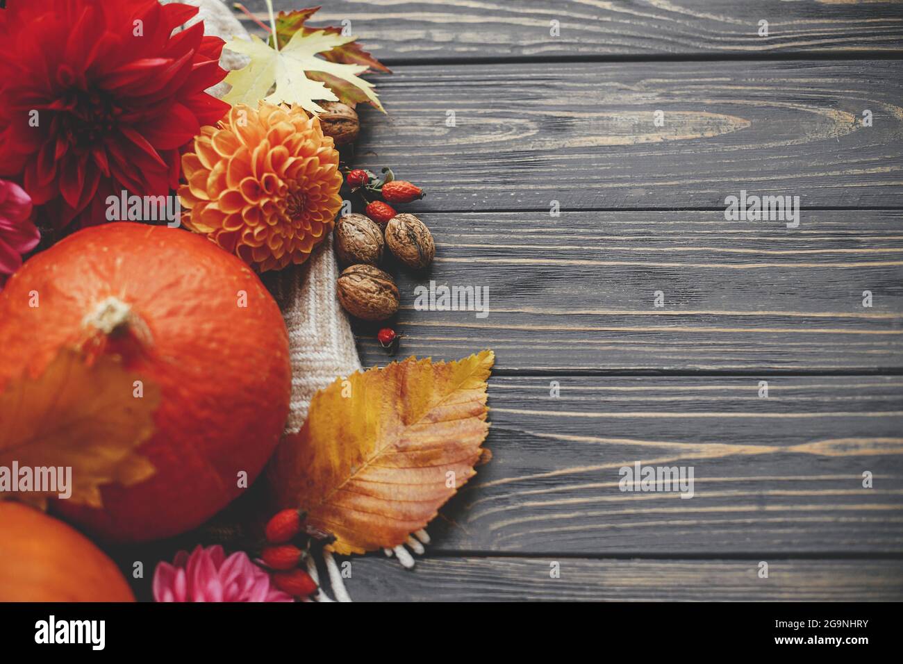 Beautiful autumn flat lay with space for text. Pumpkins, autumn flowers ...