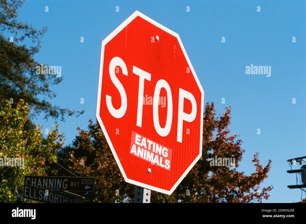 Sticker on stop sign reads hi-res stock photography and images - Alamy