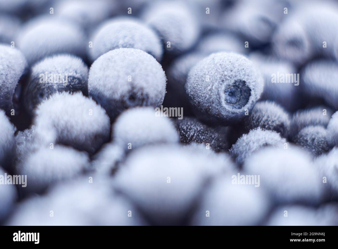 Macro close up blueberries ice hi-res stock photography and images - Alamy