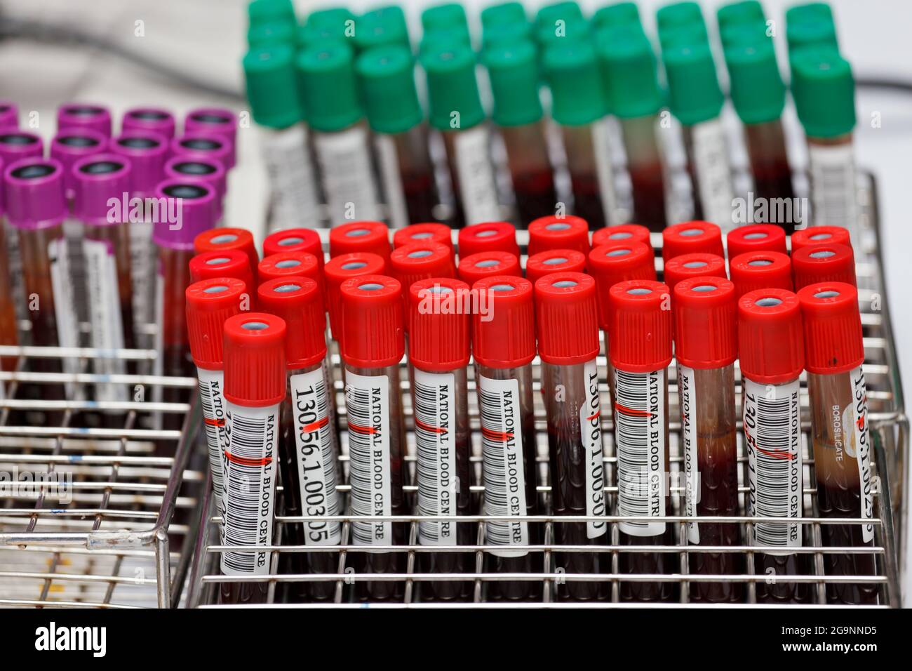 Blood tube for testing in labratory Stock Photo - Alamy
