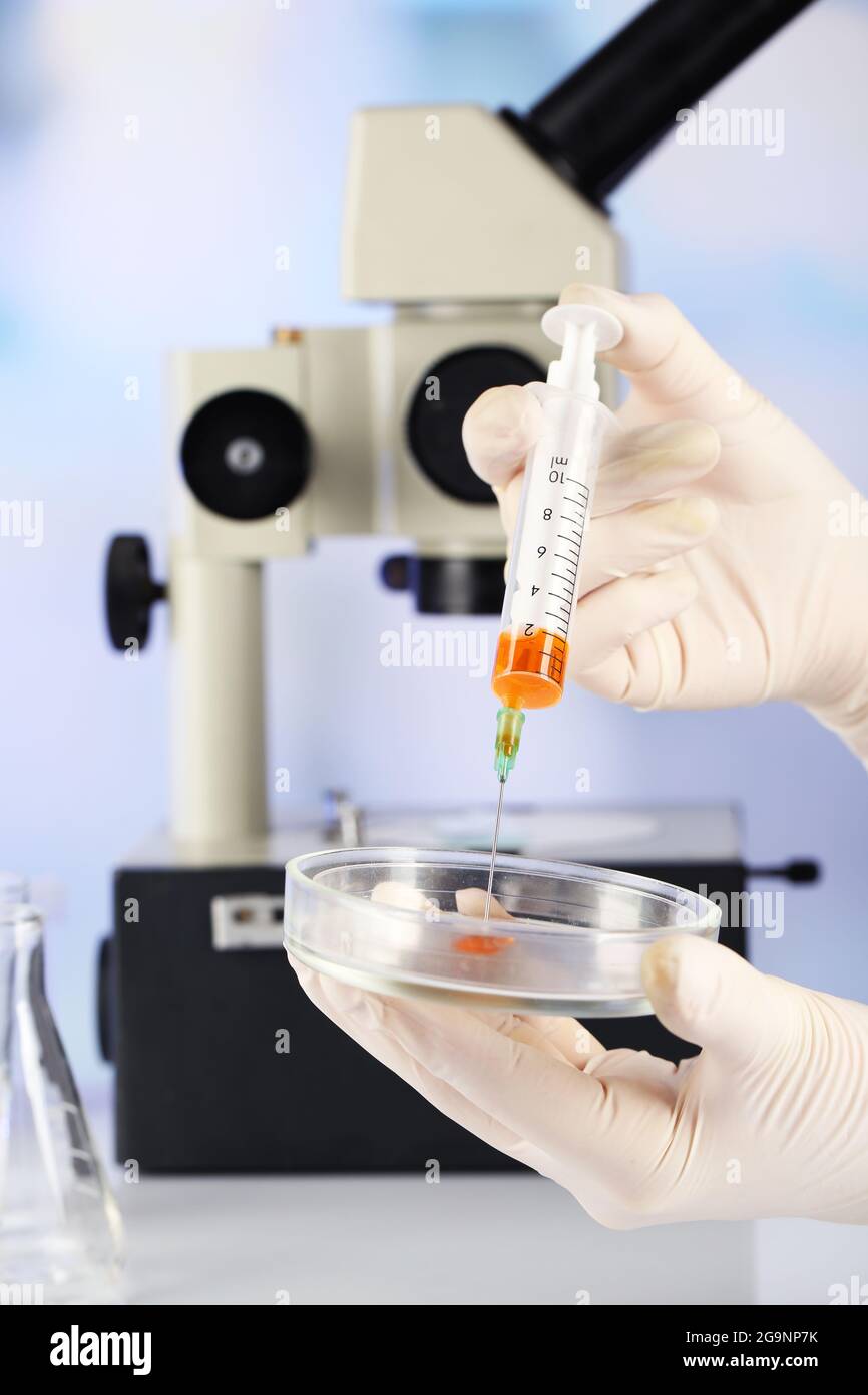 Assistant hands in gloves making analysis in laboratory with microscope ...