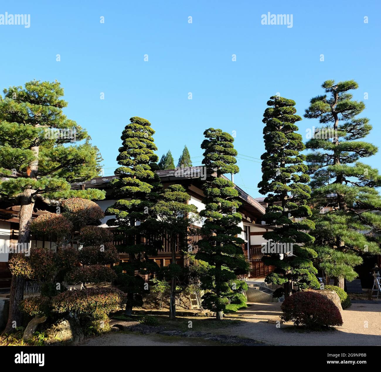 Niwaki hi-res stock photography and images - Alamy