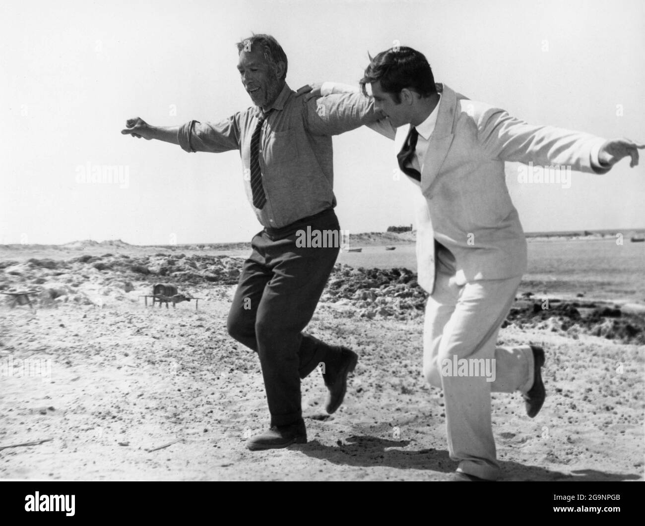 Zorba 2001