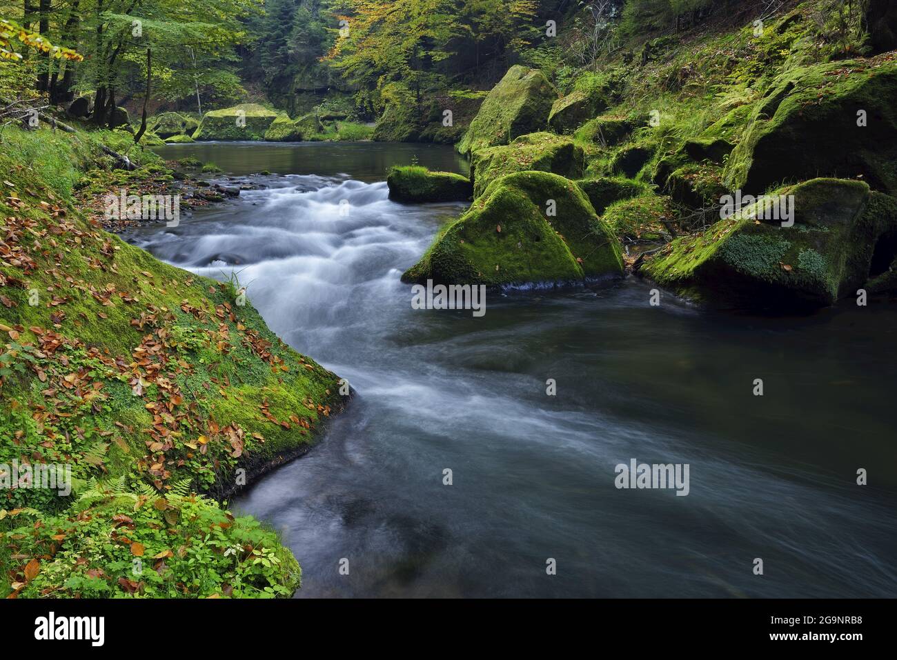 Kamenice river hi-res stock photography and images - Alamy