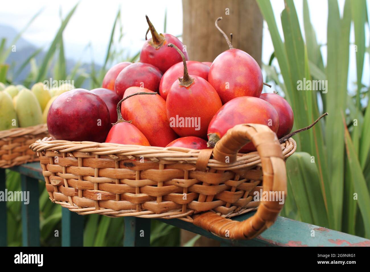 Frutas de madeira hi-res stock photography and images - Alamy