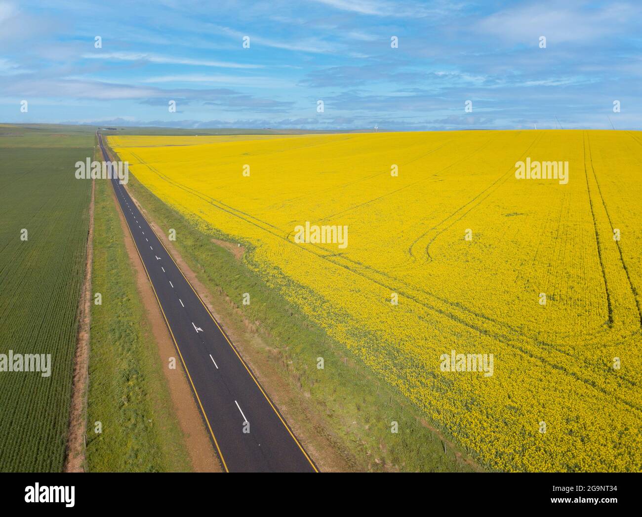 Long straight road running through a yellow field, aerial landscape ...