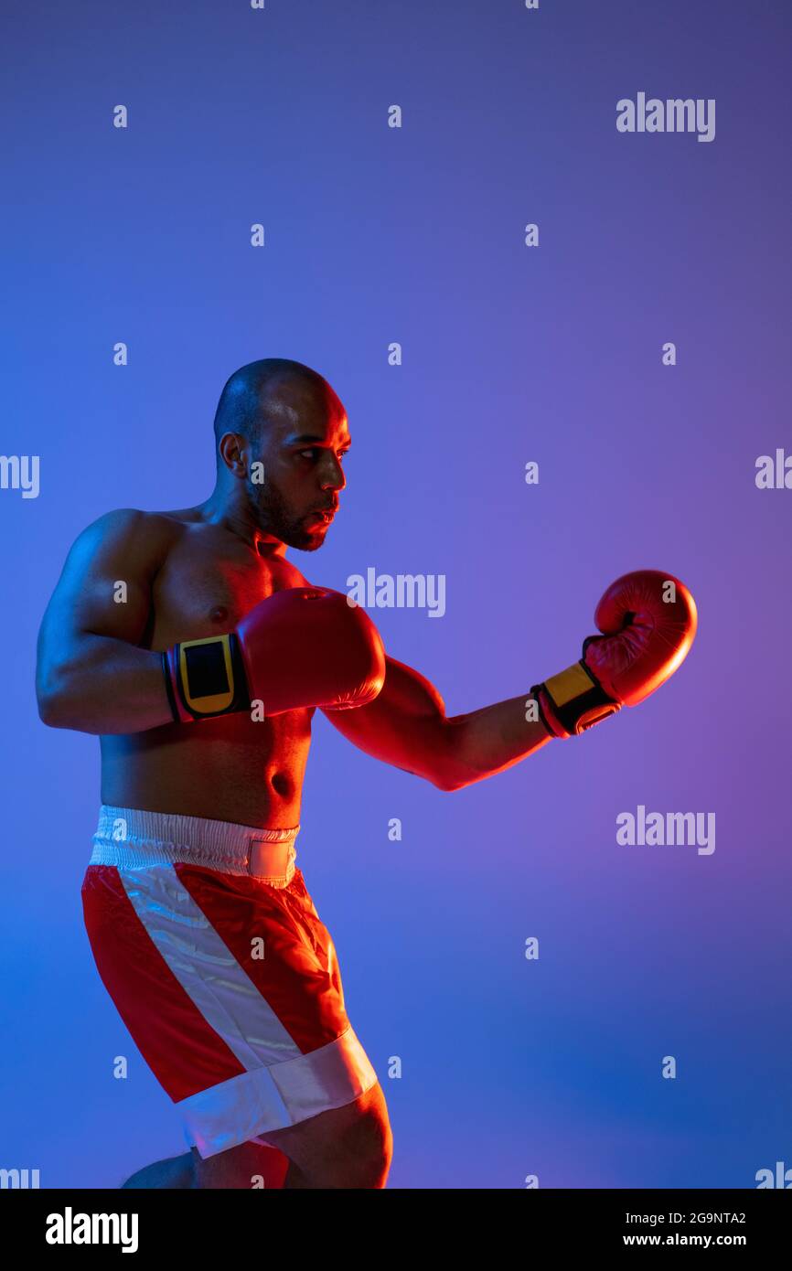 Portrait of one professional boxer in red shorts training, exercising ...