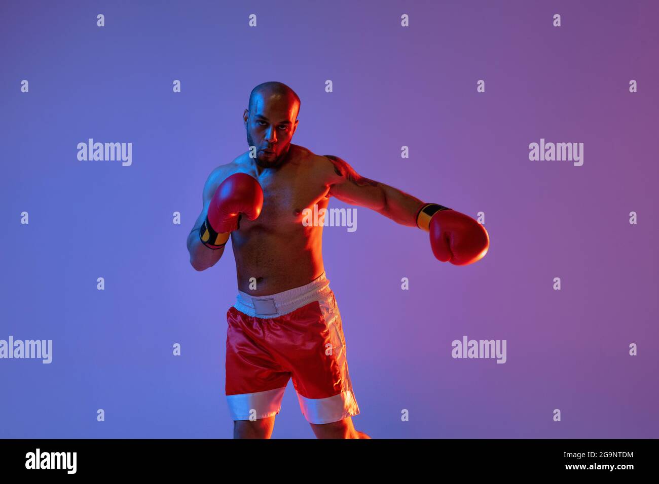 Portrait of professional male boxer in red shorts and boxing gloves ...