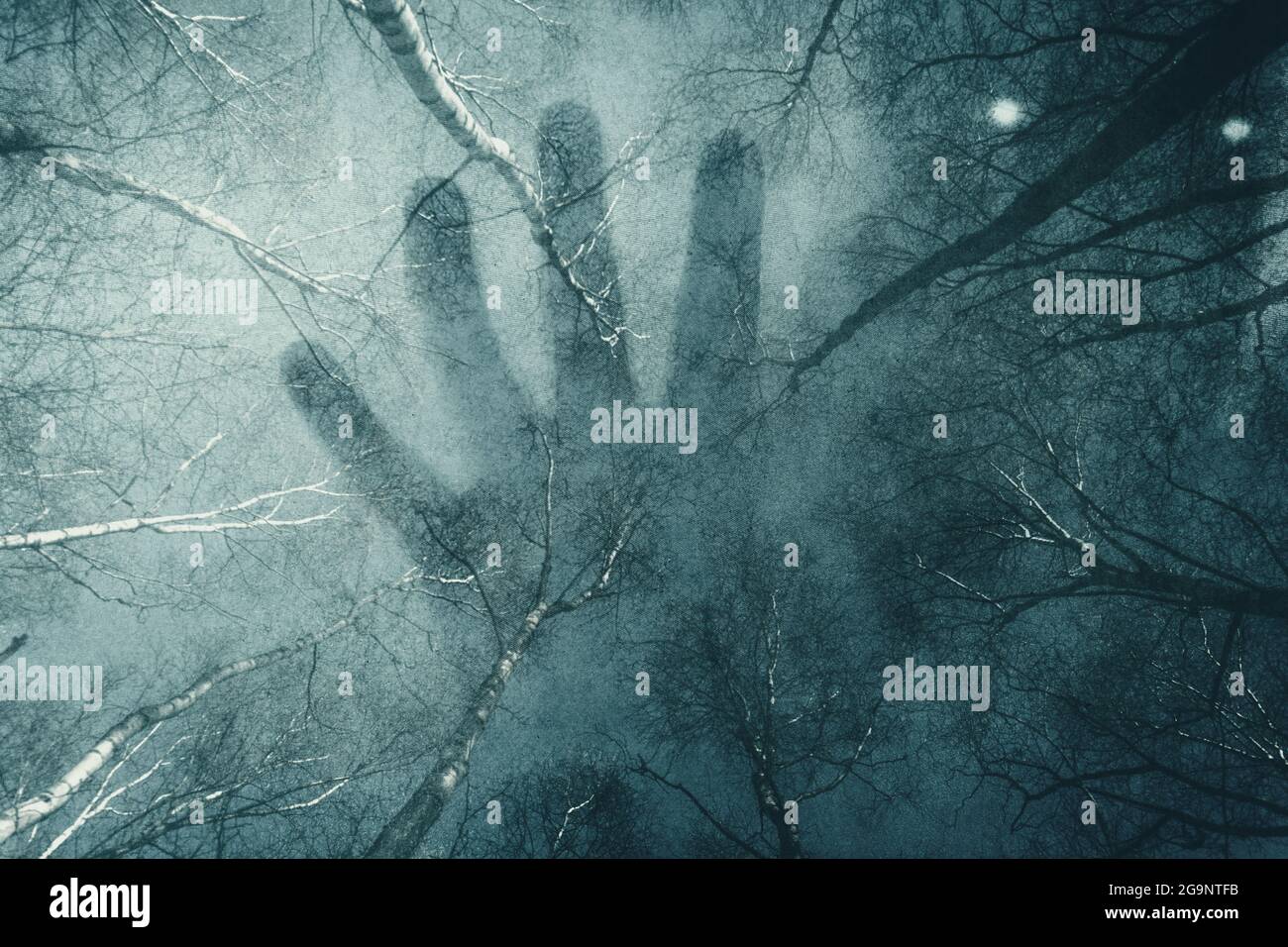 A horror concept. Looking up through a forest at a scary giant figure ...