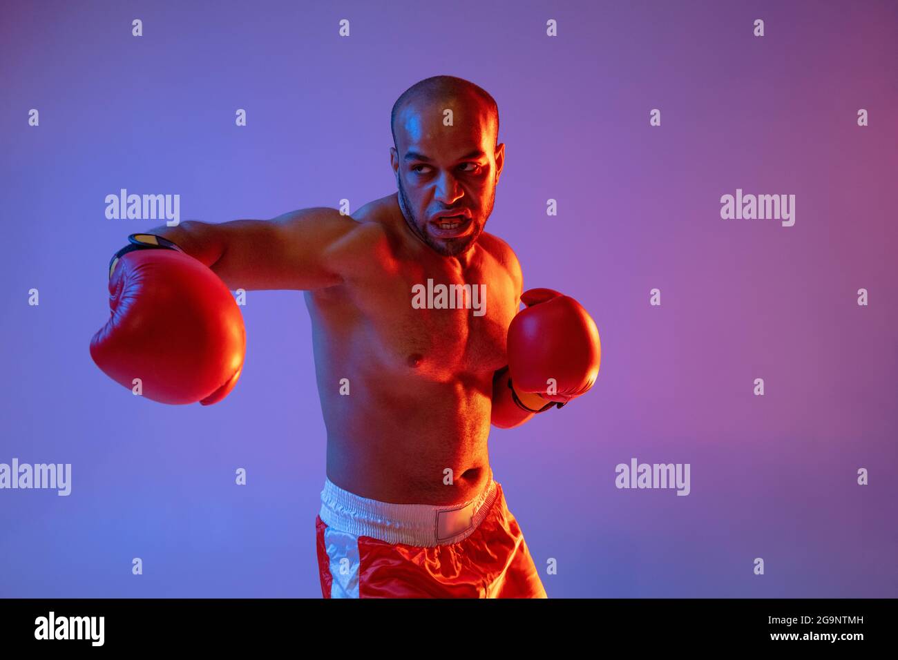 One professional male boxer in action, motion isolated over purple ...