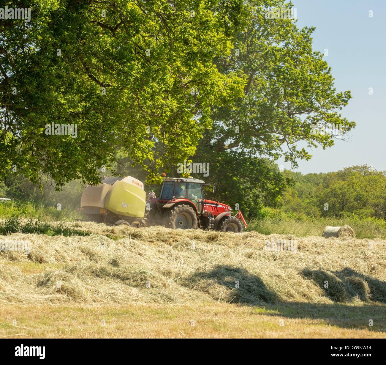 Round haybales during haymaking with tractor on Kent (England, United ...