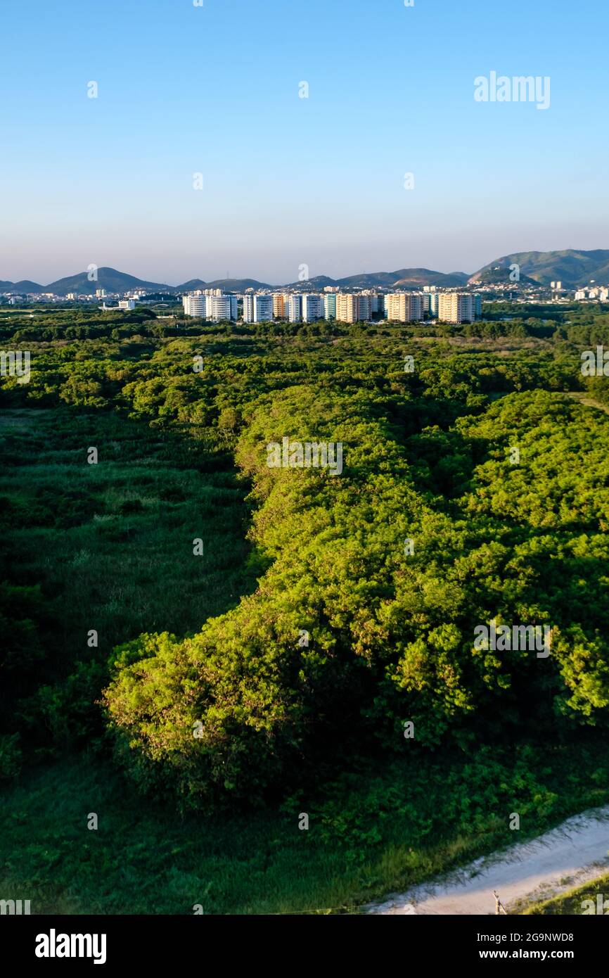 Forest landscape with condos in the background, near Vila Panam Stock ...