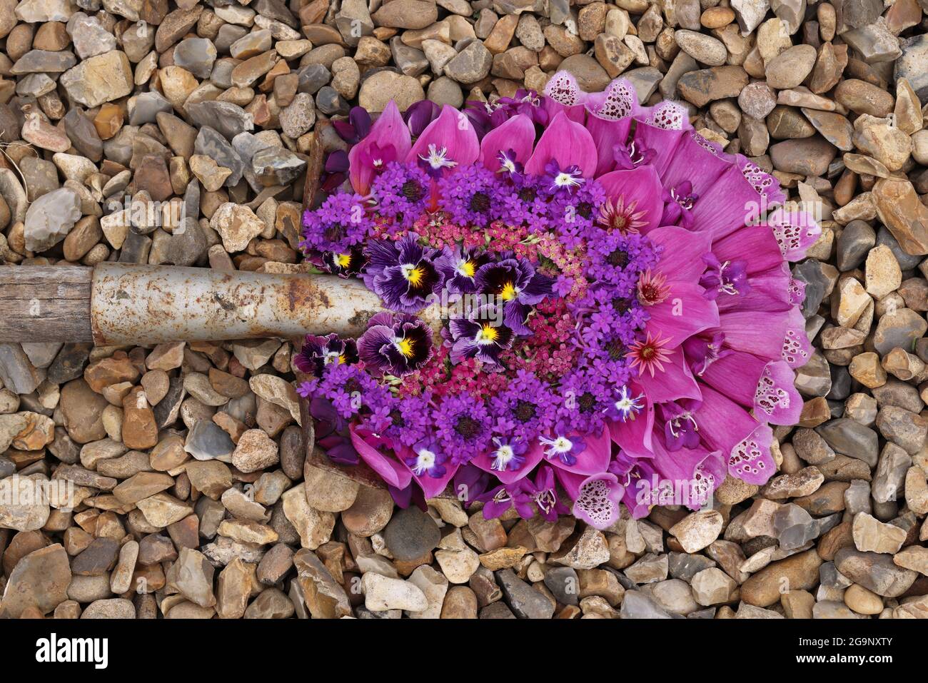 Flowers on a spade Stock Photo - Alamy