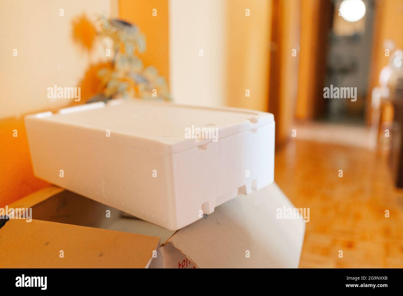 Refrigerated polyurethane box for food shipment Stock Photo - Alamy