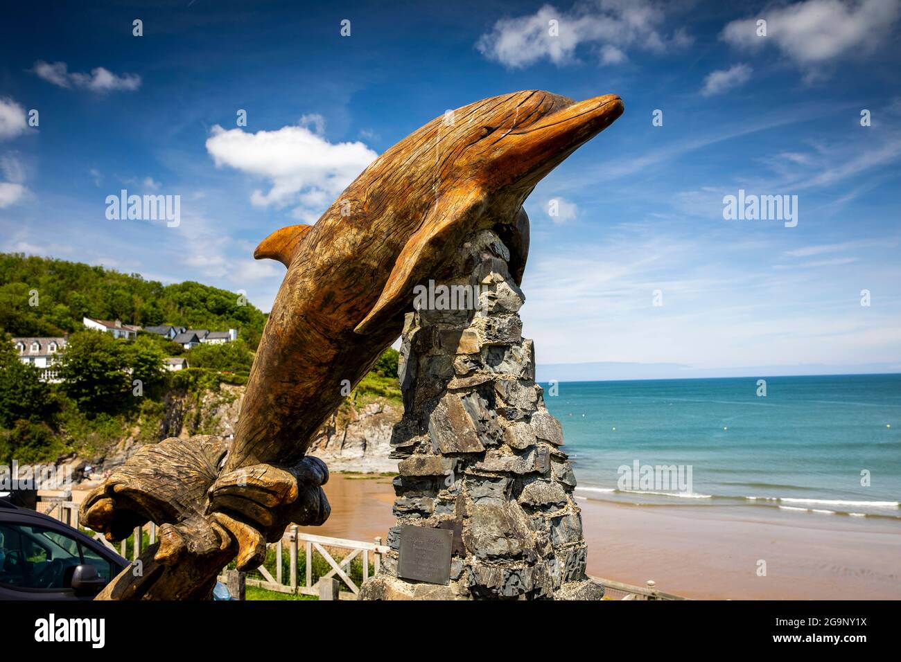 Irish dolphins hi-res stock photography and images - Alamy