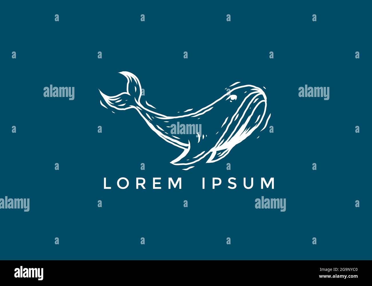 White whale line art drawing design Stock Vector Image & Art - Alamy