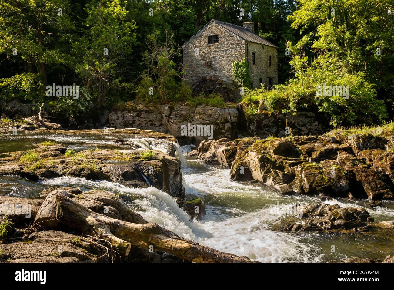 Cenarth Falls High Resolution Stock Photography and Images - Alamy