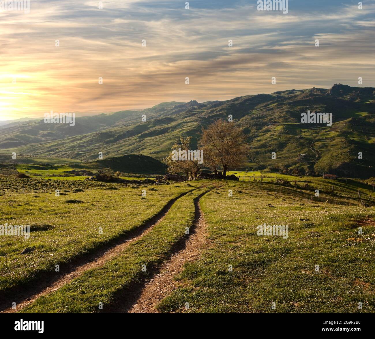 beautiful landscape with winding path through fallow fields at the ...