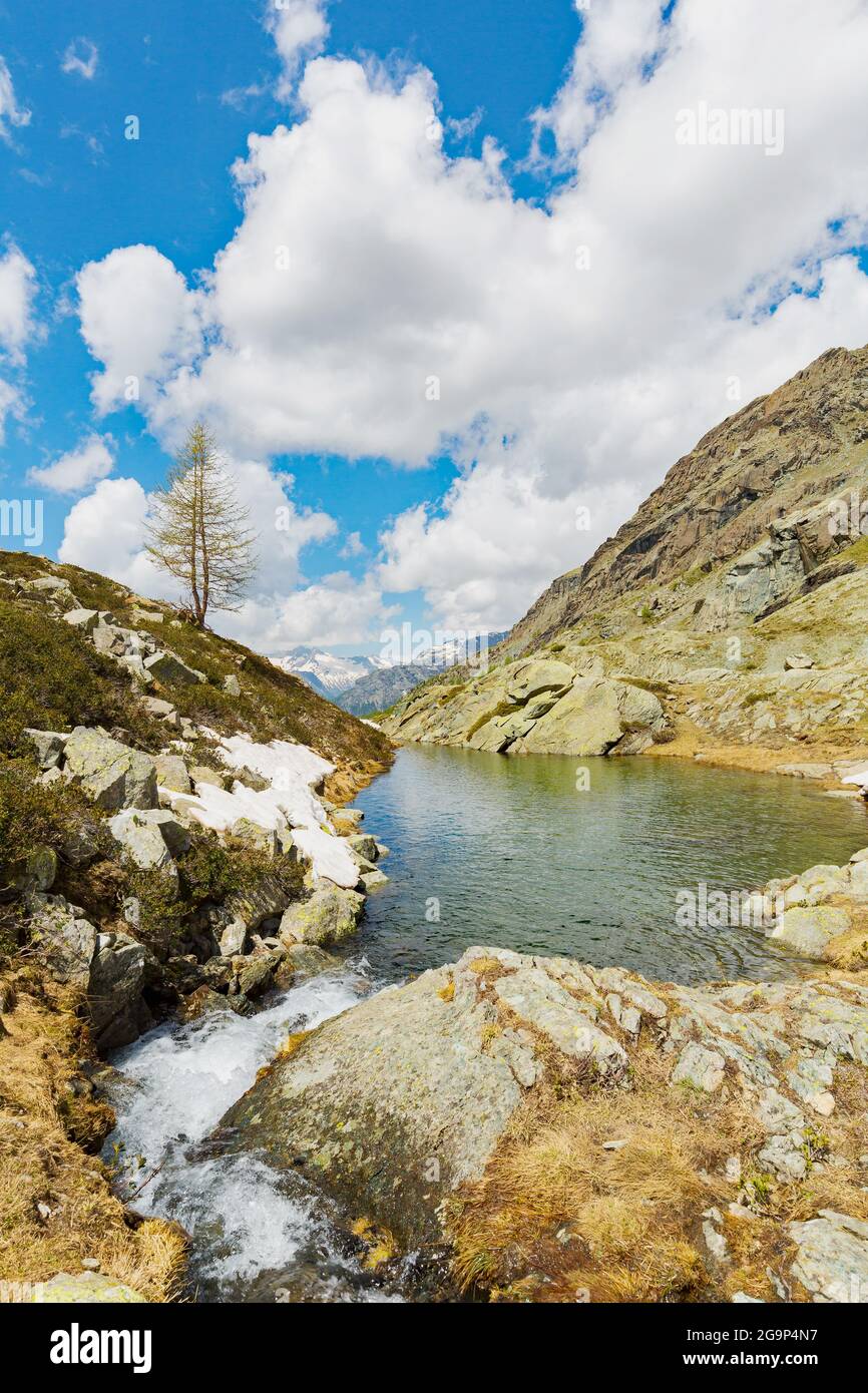spring alpine landscape with pond Stock Photo - Alamy