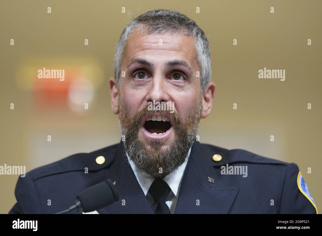 Washington Metropolitan Police Department officer Michael Fanone ...