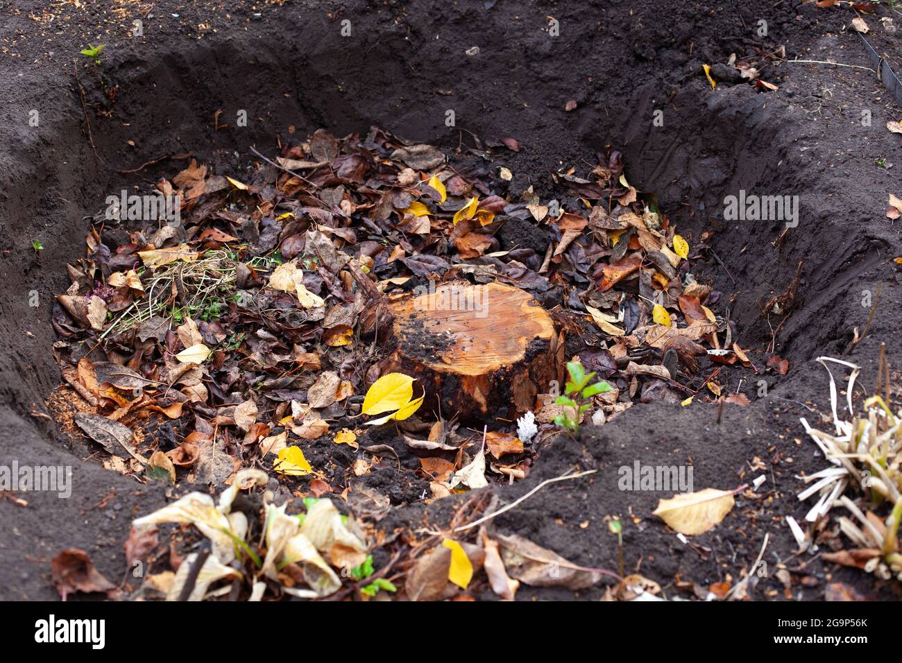 Fall into the pit hi-res stock photography and images - Alamy