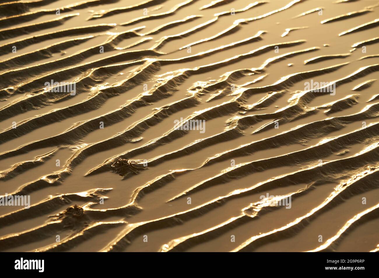 Sand waves texture with water on the sea beach. Yellow sand texture for ...