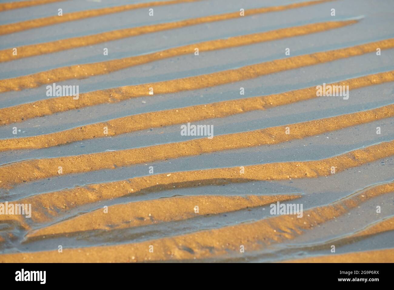 Sand waves texture with water on the sea beach. Yellow sand texture for ...