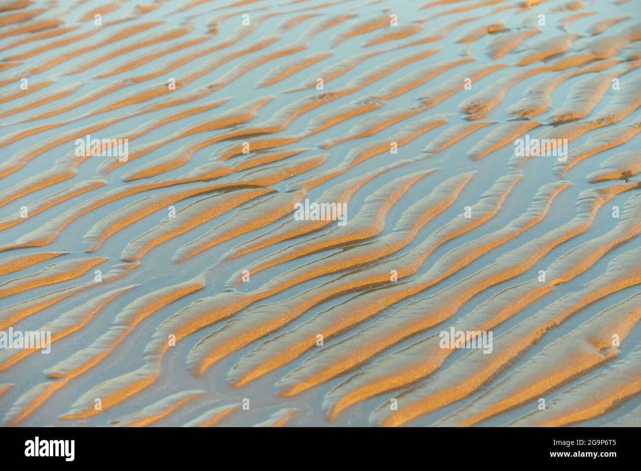 Sand waves texture with water on the sea beach. Yellow sand texture for ...