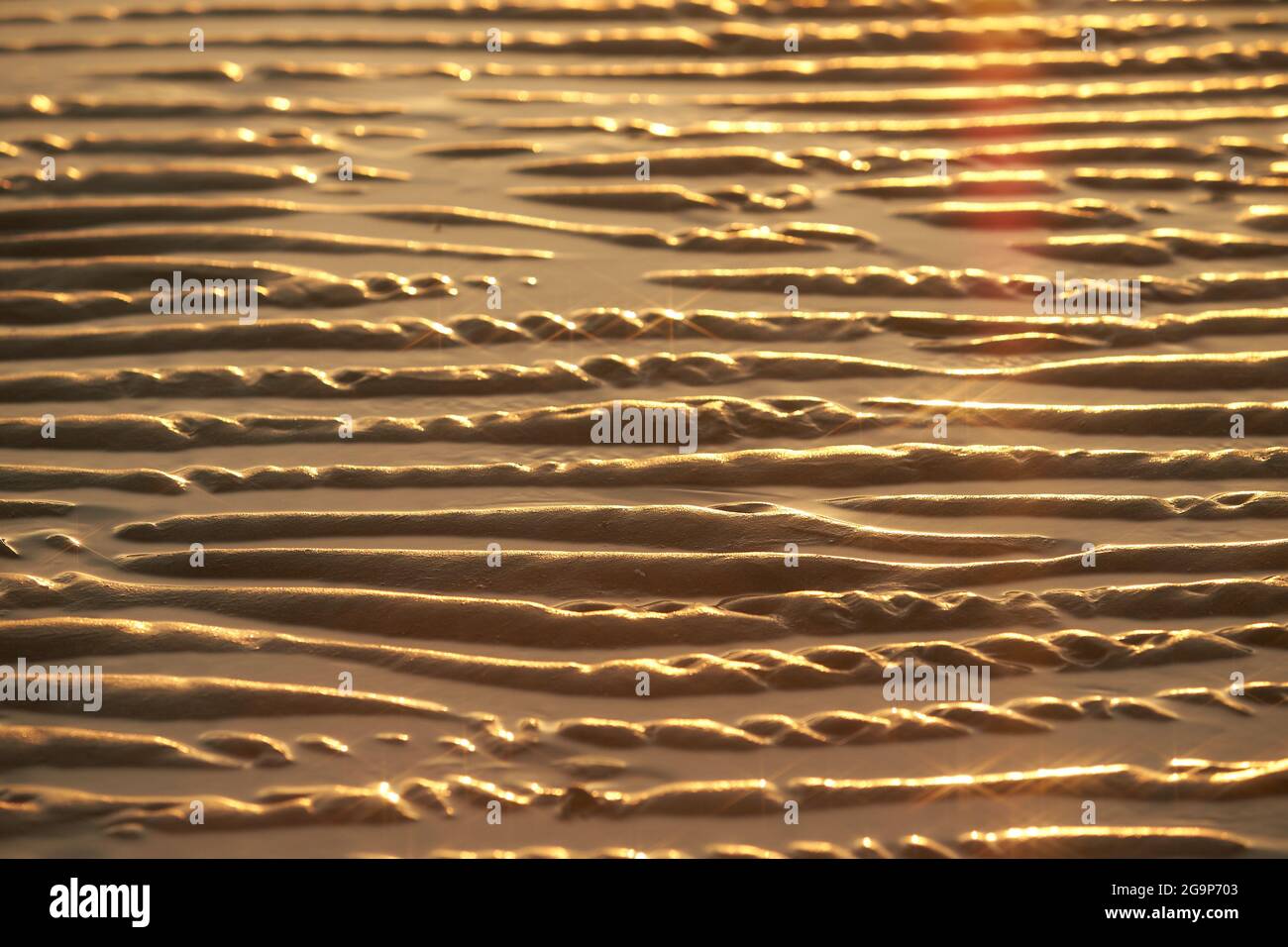 Sand waves texture with water on the sea beach. Yellow sand texture for ...