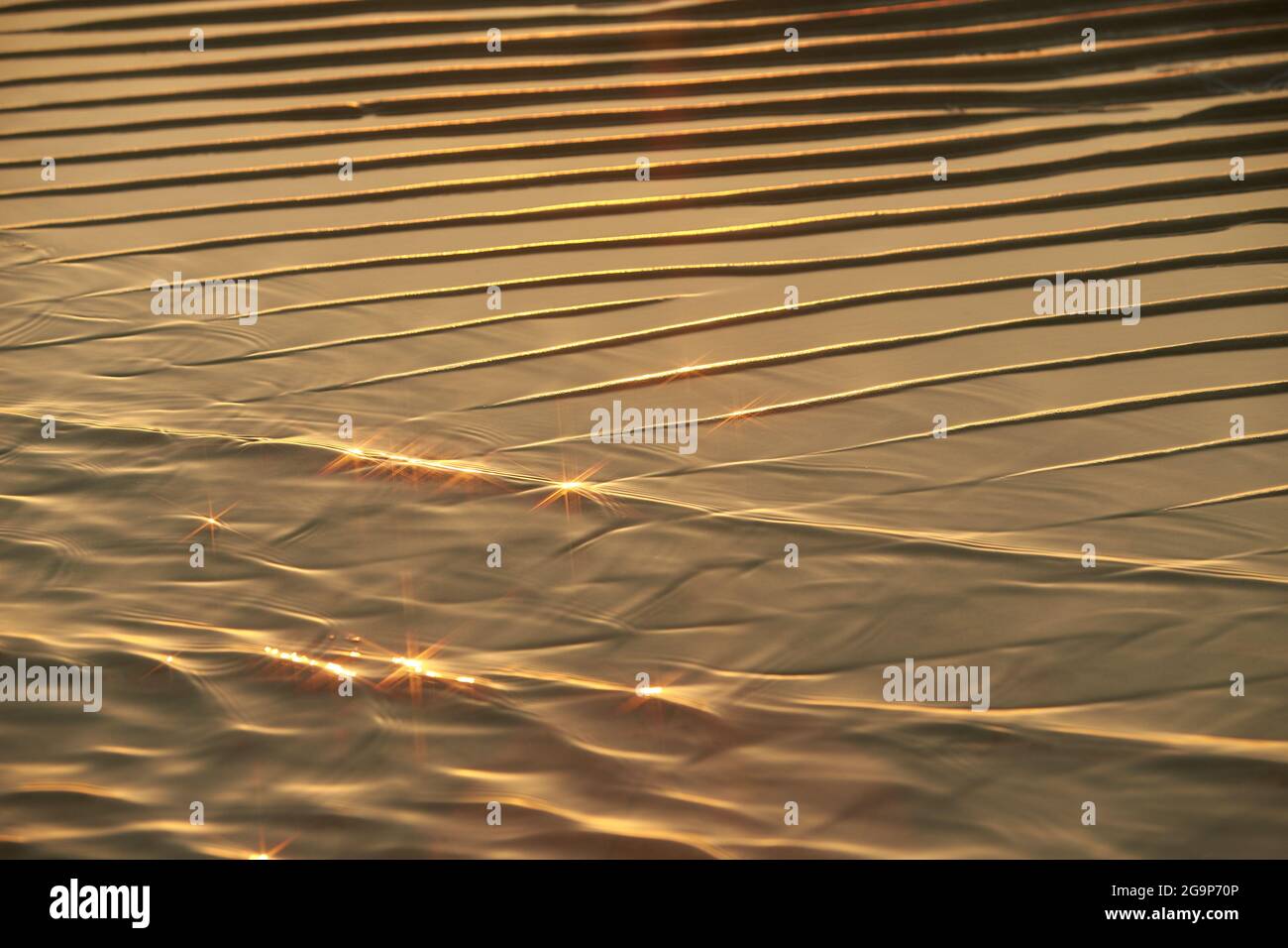 Sand waves texture with water on the sea beach. Yellow sand texture for ...