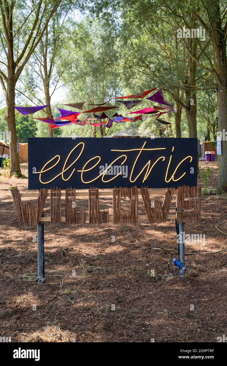 Group of willows hi-res stock photography and images - Alamy