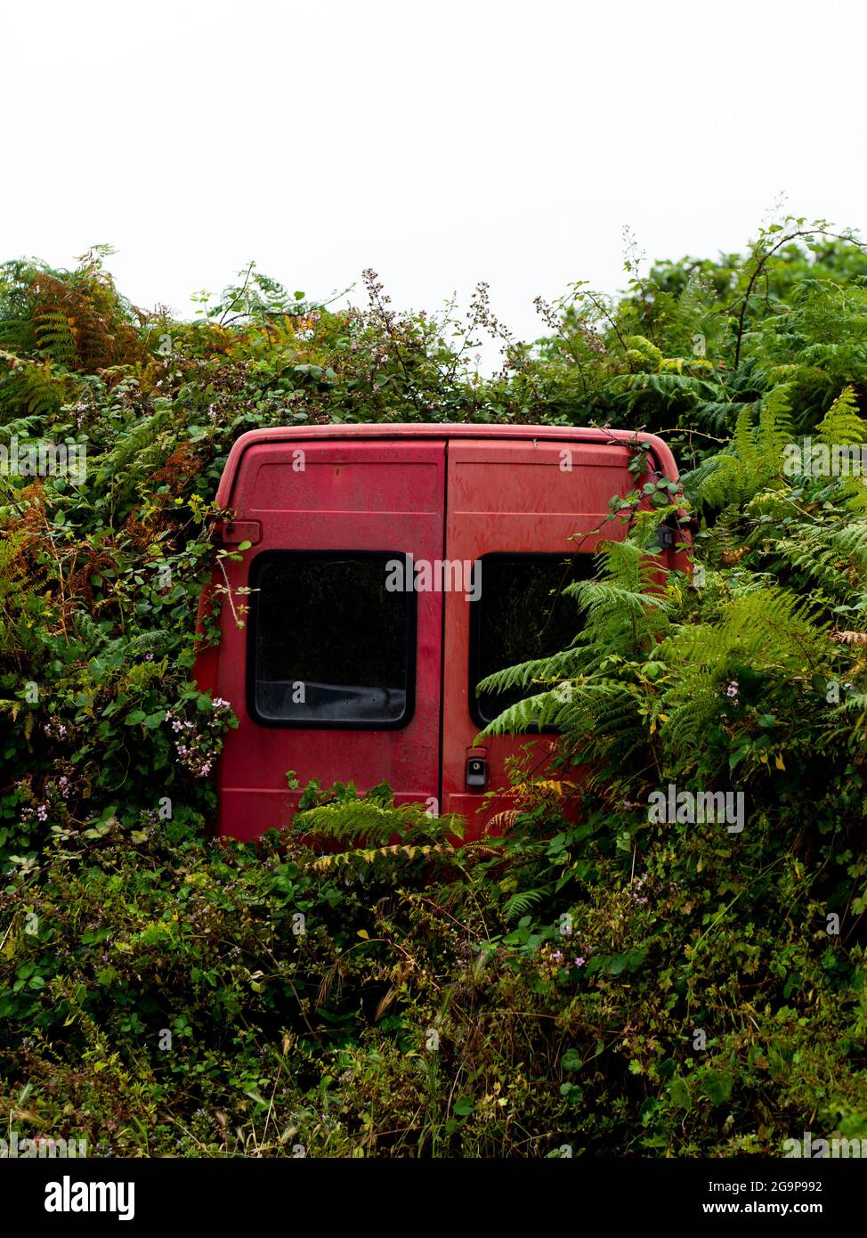 Overgrown van hi-res stock photography and images - Alamy