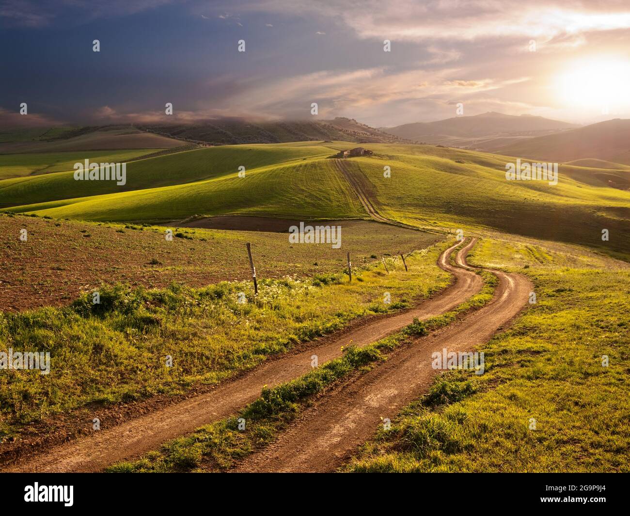 scenic path through the rolling hills at the sunset Stock Photo - Alamy