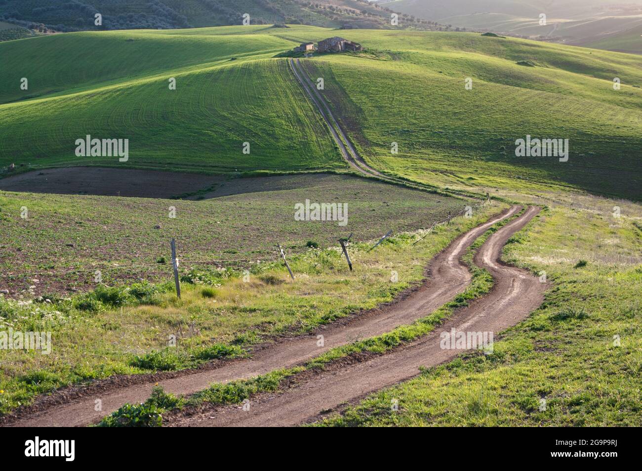 Old dirt road country scene hi-res stock photography and images - Alamy