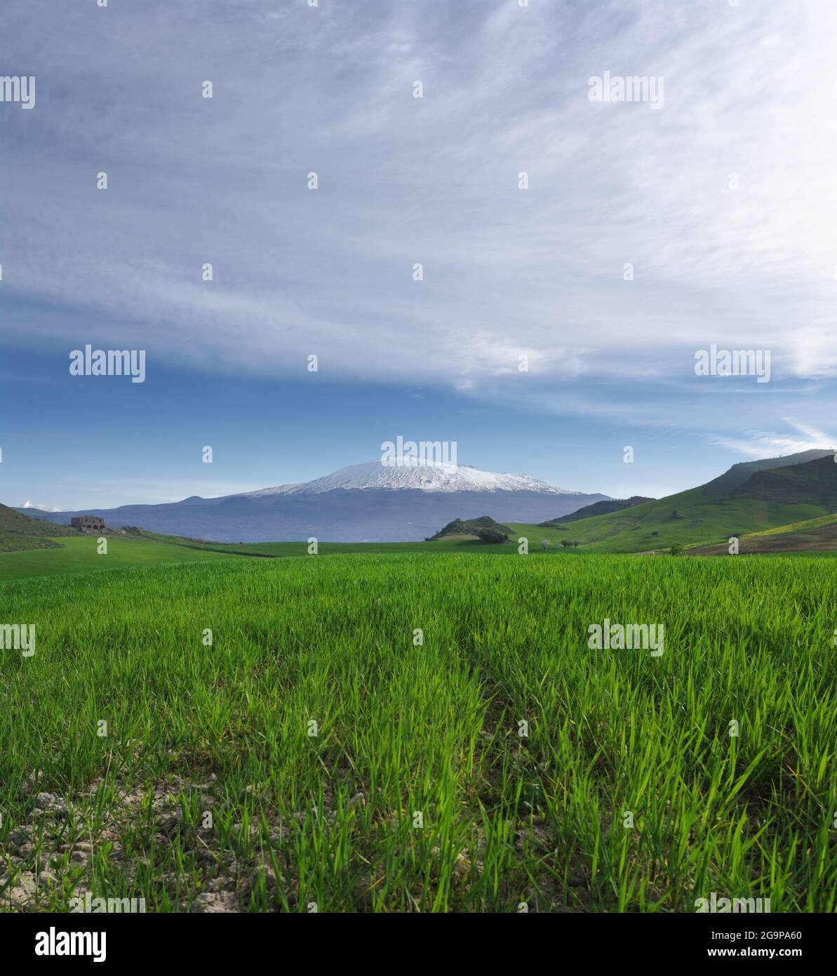 green grass on background volcano Etna covered by snow and fluffy blue ...
