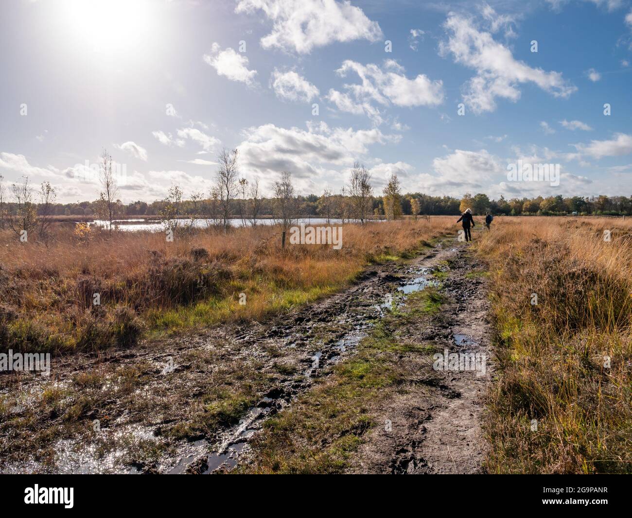 People walking in mud, boggy footpath in peat bog of national park ...