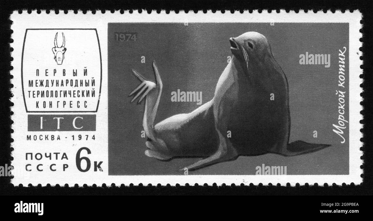 1974 aged Black and White Stock Photos & Images - Alamy