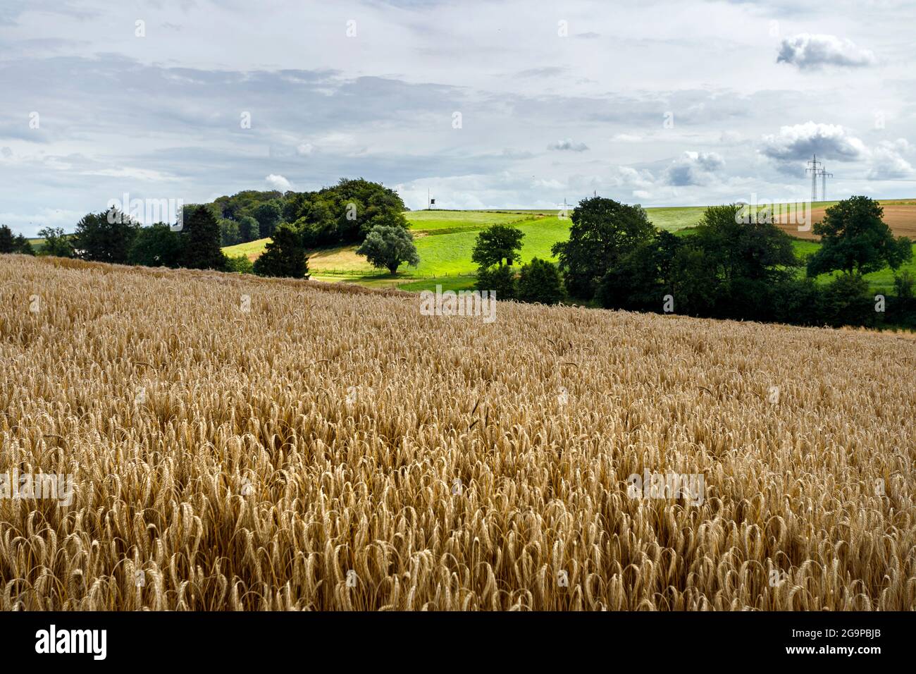 Der roggen hi-res stock photography and images - Alamy