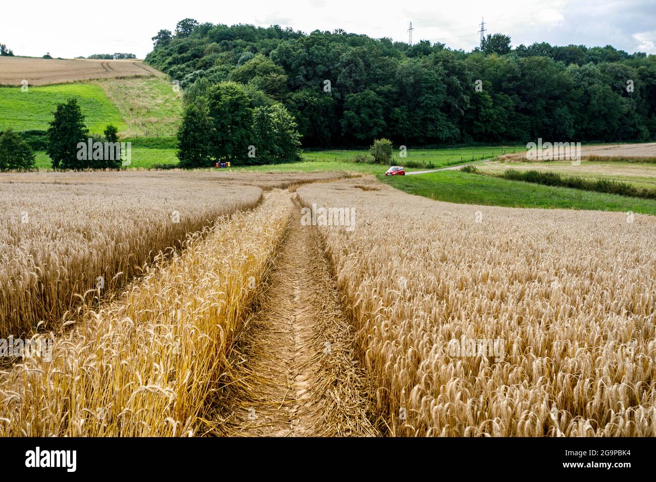 Vor der ernte hi-res stock photography and images - Alamy